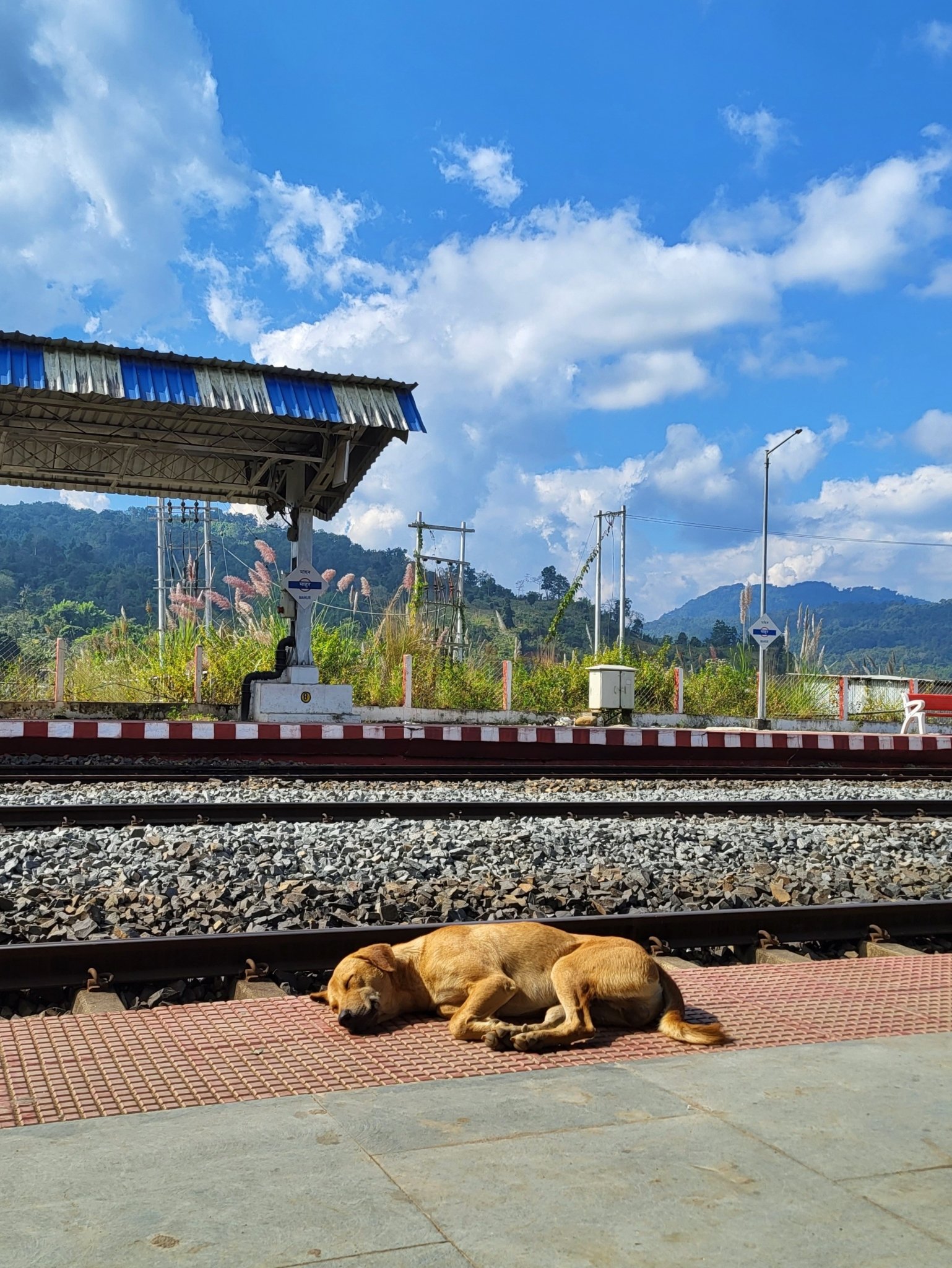 My unforgettable trek to Tumjang Peak (Mt. Sielkal Peak) in the Borail ...